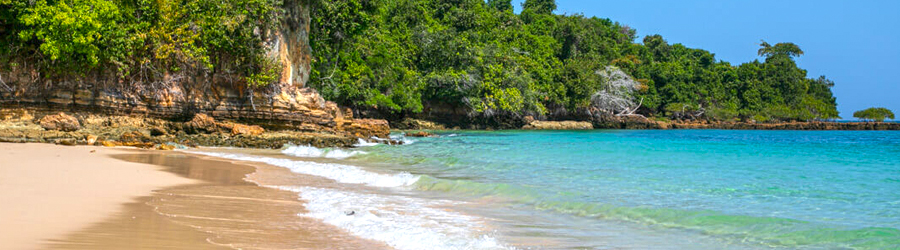 Paseo en Catamaran por Islas Las Perlas & Dia en la Playa| Real Deal Tours